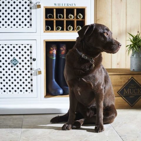 Luxury Accommodation | The Fish Hotel in The Cotswolds